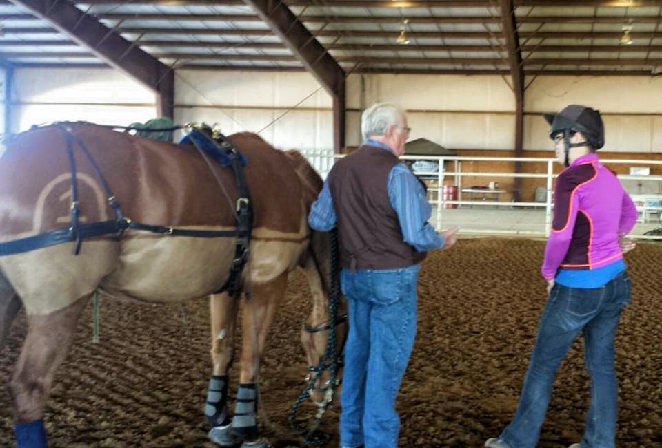 The Reeling: An Unexpected Mareventure: Catch-Up Post: Driving, Lessons ...