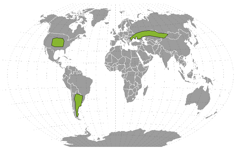 GEOGRAFILIA: Zonele biogeografice - zona temperată