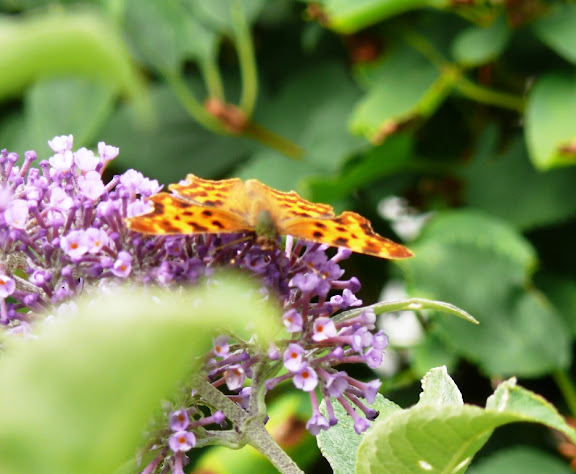 Bob's Home For Writing: The Floating Comma