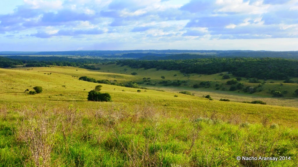 ¡NWADZINGUELE: MOZAMBIQUE!: La Reserva Especial de Maputo