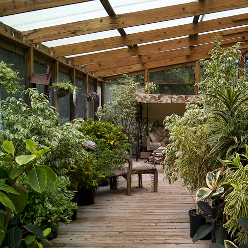 The Rainforest Garden: A Saunter Through a Sunroom