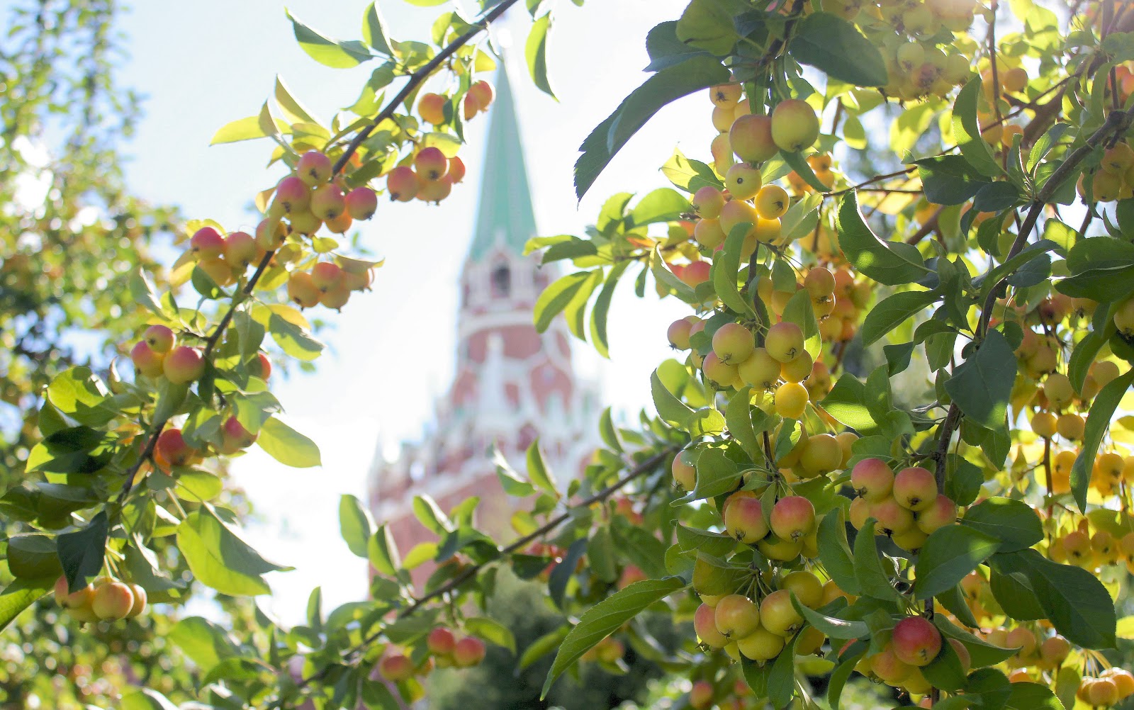 Travel & Adventures: Moscow, Russia, four seasons. The Nature of Moscow ...