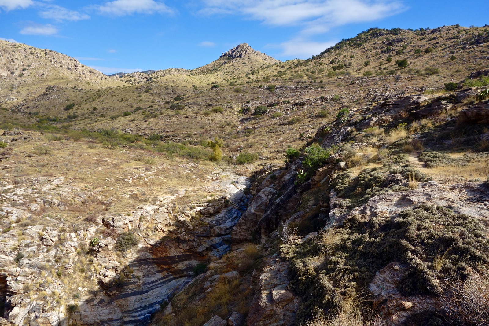 Earthline: The American West: Soldier Canyon, Pusch Ridge Wilderness