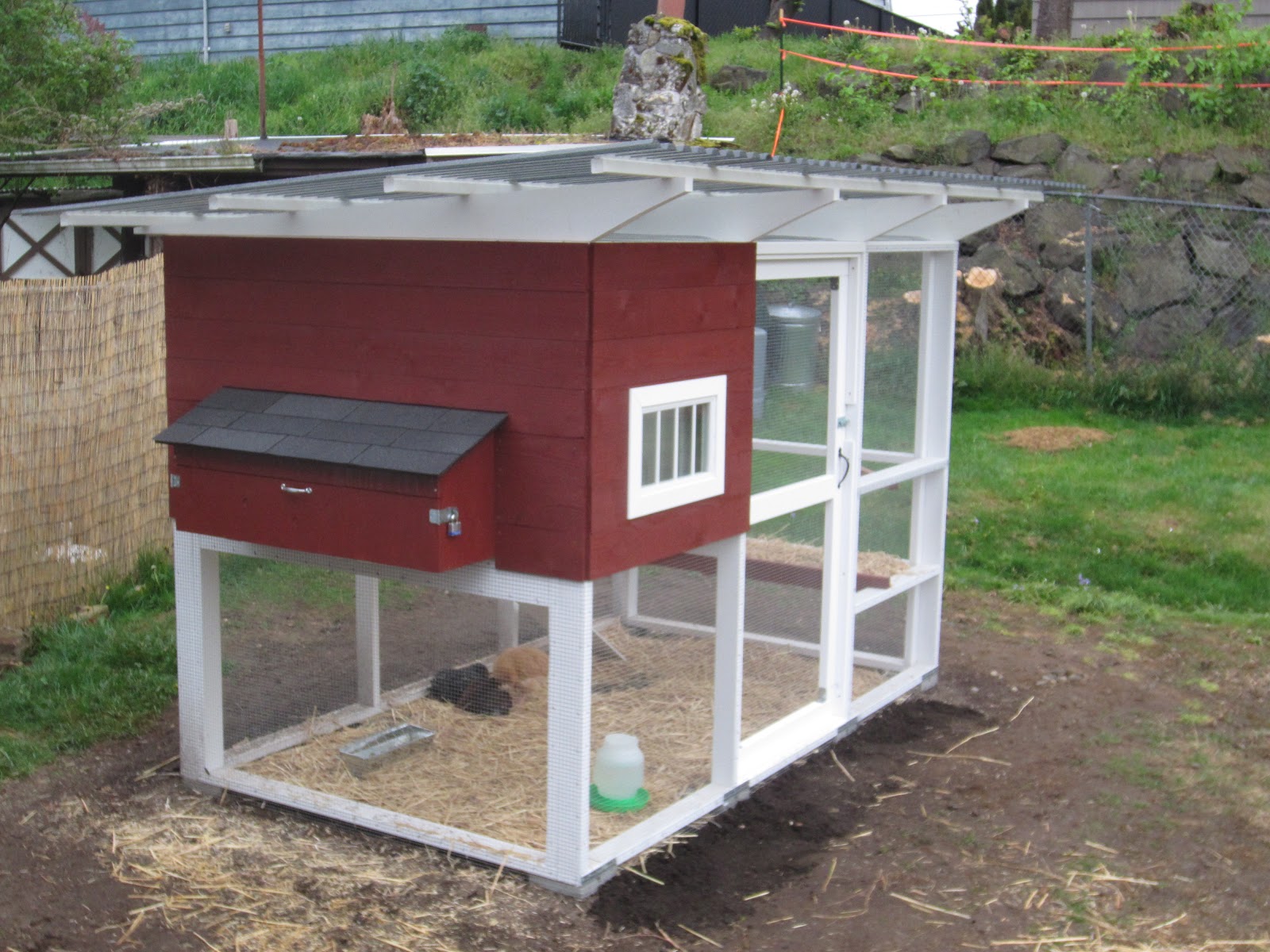 Joanie's in the Garden: How we built The Chicken Barn