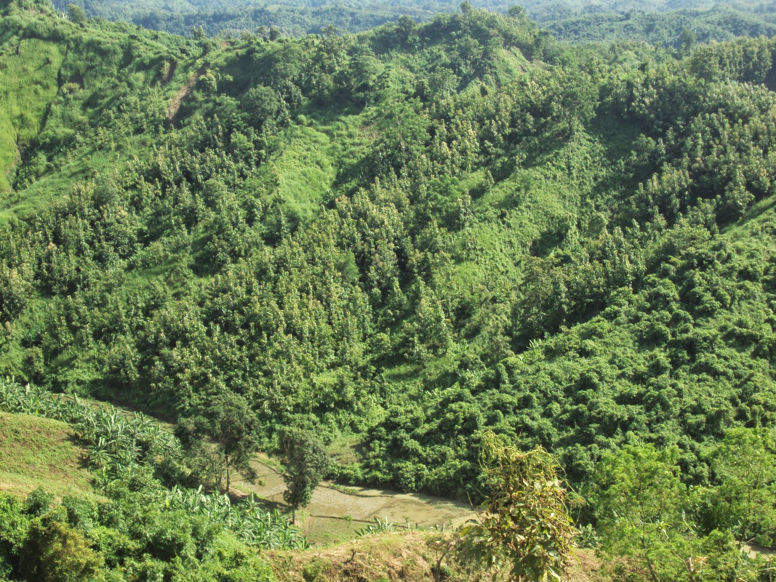 Bandarban Trekking Tour: Keokaradong & Tajindong Trekking Tour
