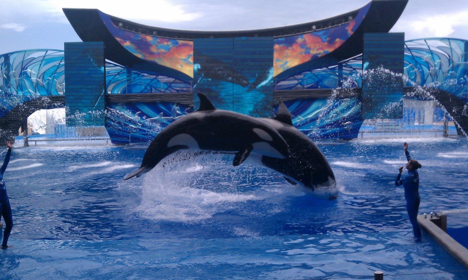 Orlando Area Theme Parks, Attractions, and Eateries: A Day at Sea World ...