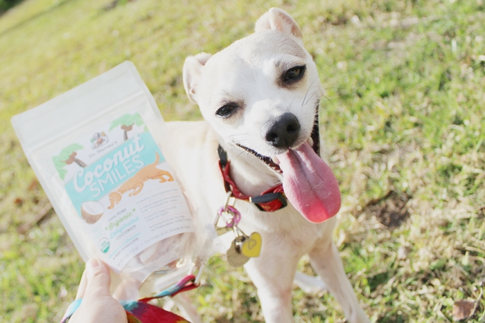 HAPPYHAZEL: Happy Smiles for Dr. Harvey's Coconut Smiles! Chewy.com ...