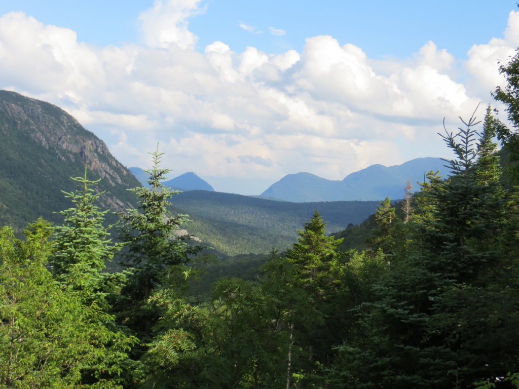 Mountain Wandering: Mount Hale Loop: 7/4/13
