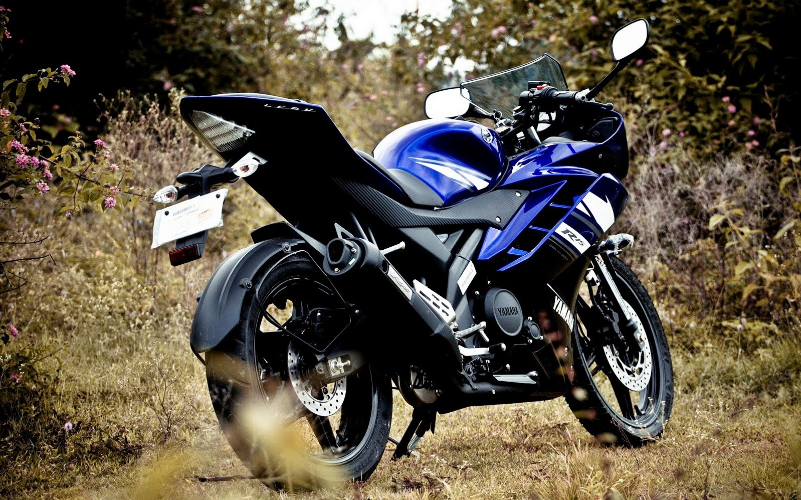 Yamaha R15 2015 | Yamaha Bikes