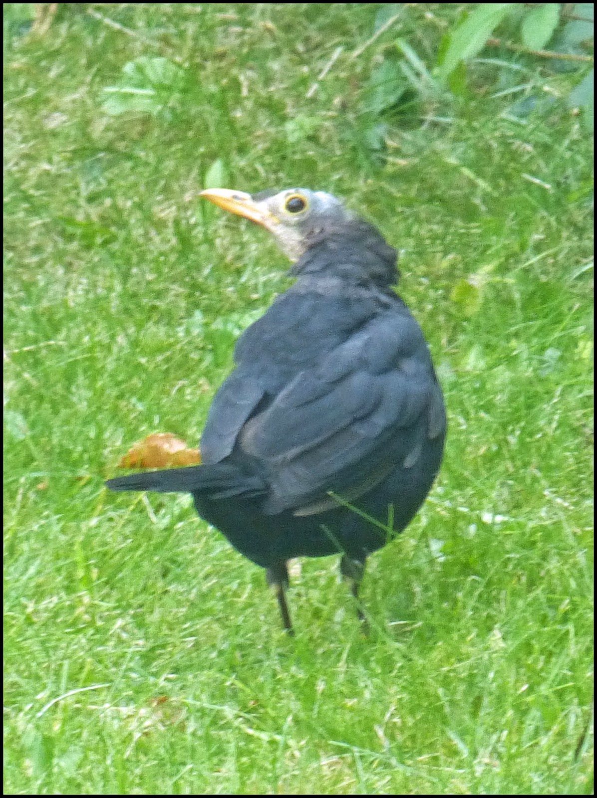 Wild and Wonderful: September 2014