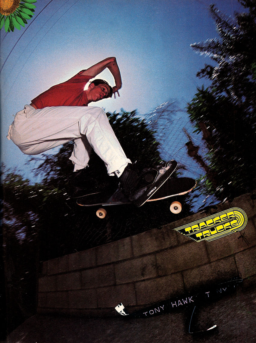 Vert Is Dead: Tony Hawk #9.
