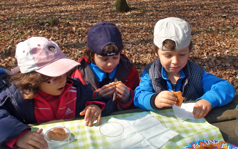 EU COCIÑO, TI COCIÑAS?: ESTO SÍ É UN... PINNIC!!!