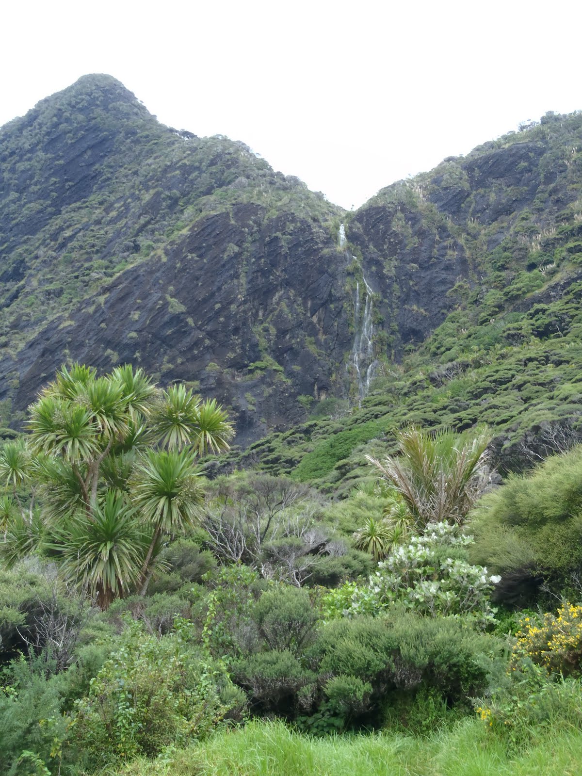 Adventures in Kiwi-Land