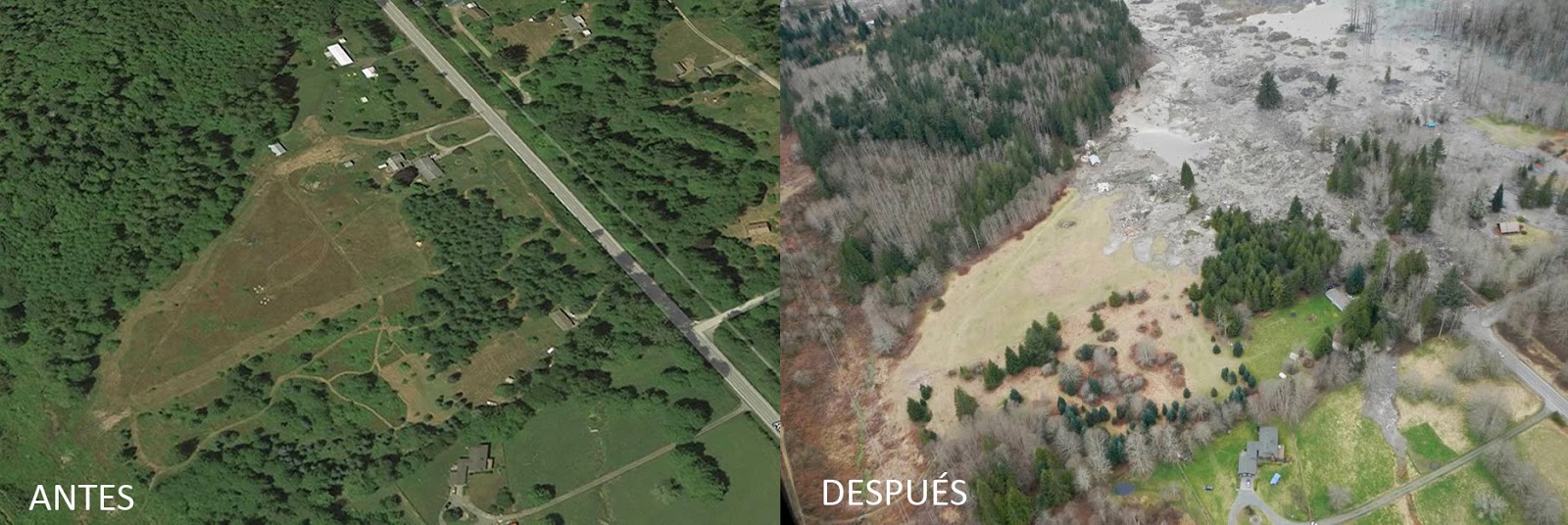 ChemaTierra: Alud masivo en Washington: detrás de la tragedia