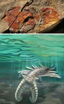 TIERRA DE DINOSAURIOS: El Anomalocaris poseía un privilegiado sistema ...