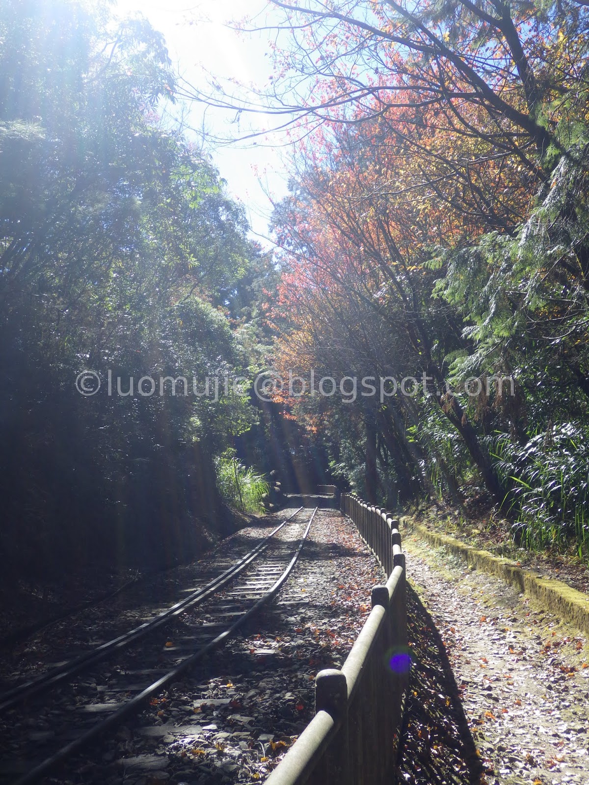 Taipei to Alishan - Travel guide, how to go, tips and tricks | luomujie ...