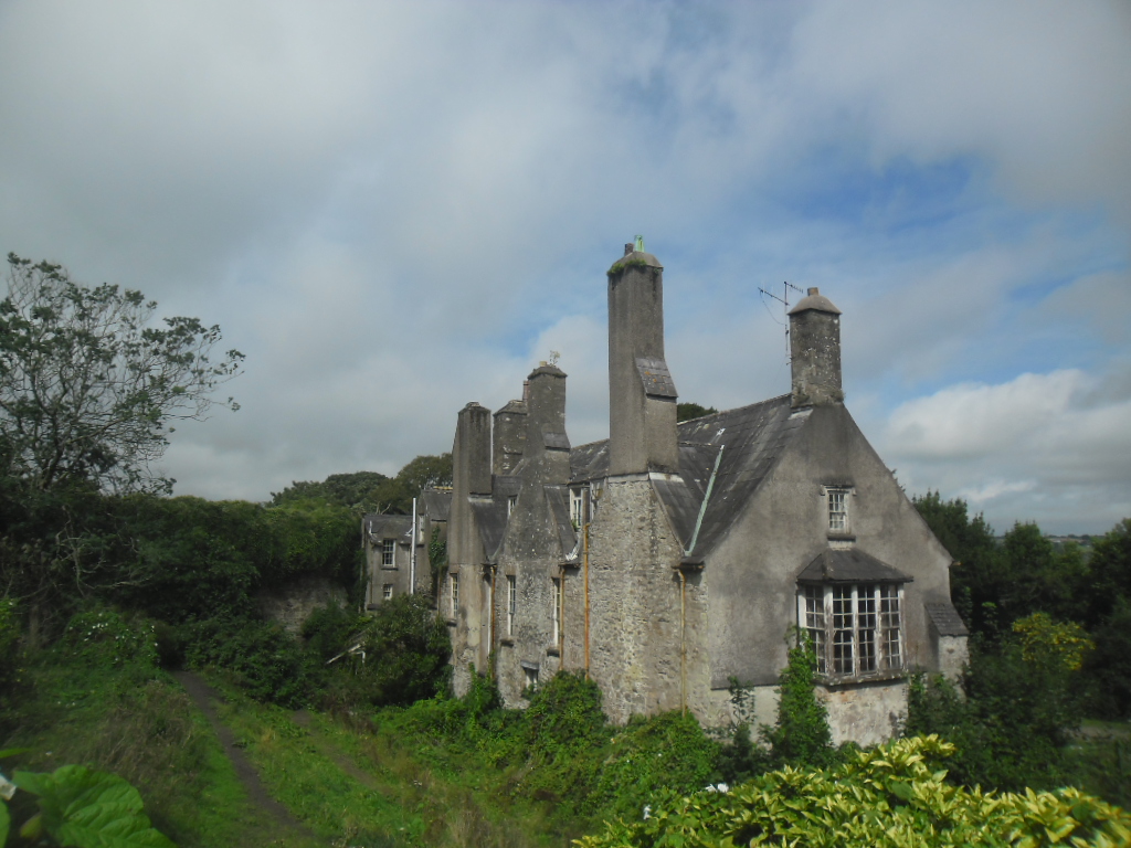 Pat Papertown 2: Youghal (Cork): Myrtle Grove