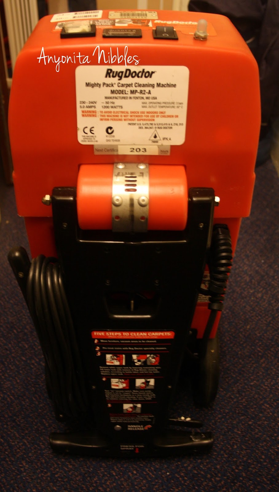 Anyonita Nibbles | Gluten-Free Recipes : Rug Doctor Review