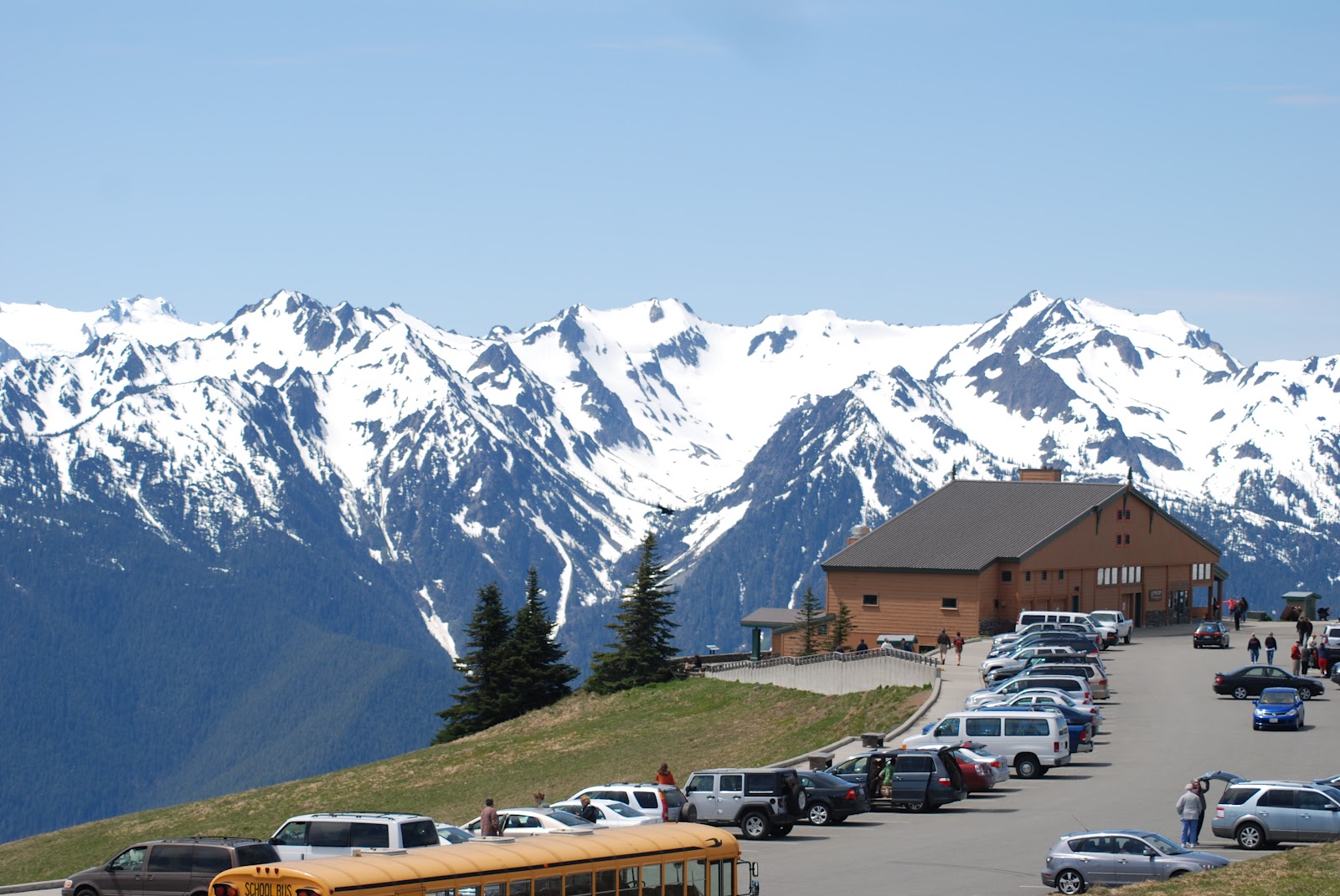 Roaming America: Port Angeles Visitor Center Olympic National Park June ...