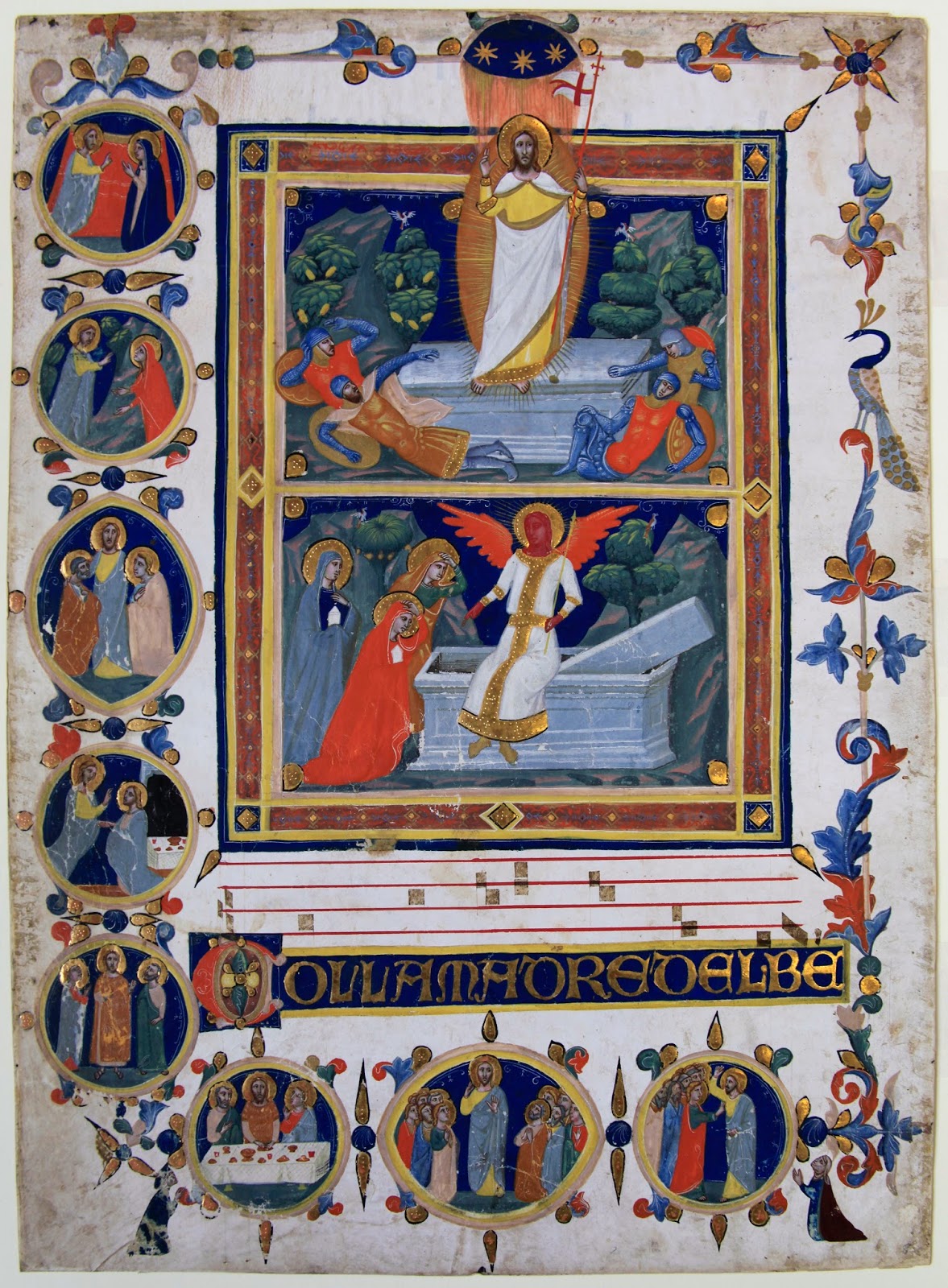 Sibel Ergener Book Conservation