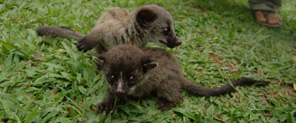 CAREKAN "CAREUH KUJANG": Gathering CAREKAN 7 Oktober 2012