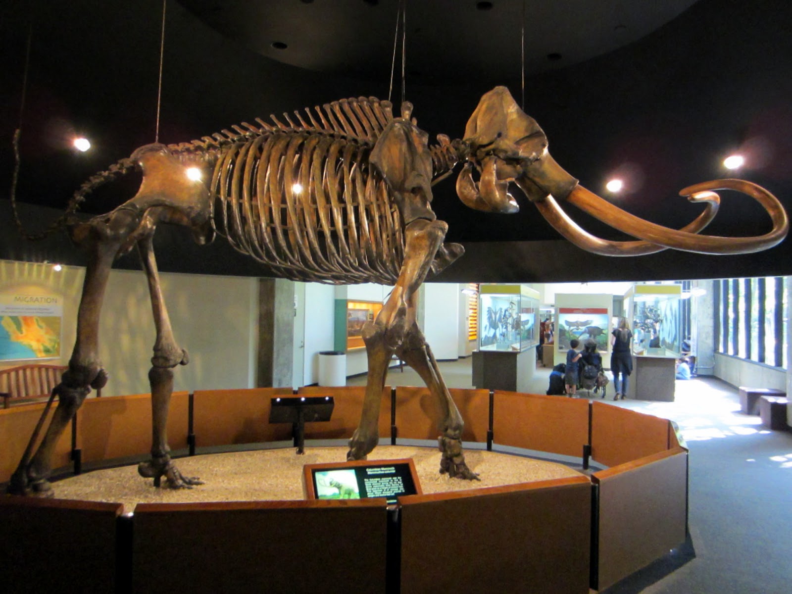 Hasty Pics: La Brea Tar Pits & Page Museum - Los Angeles, California