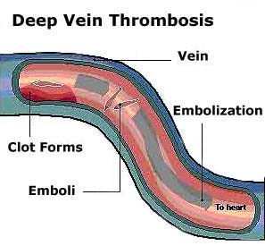 MOZAC BIOLOGY DEPARTMENT