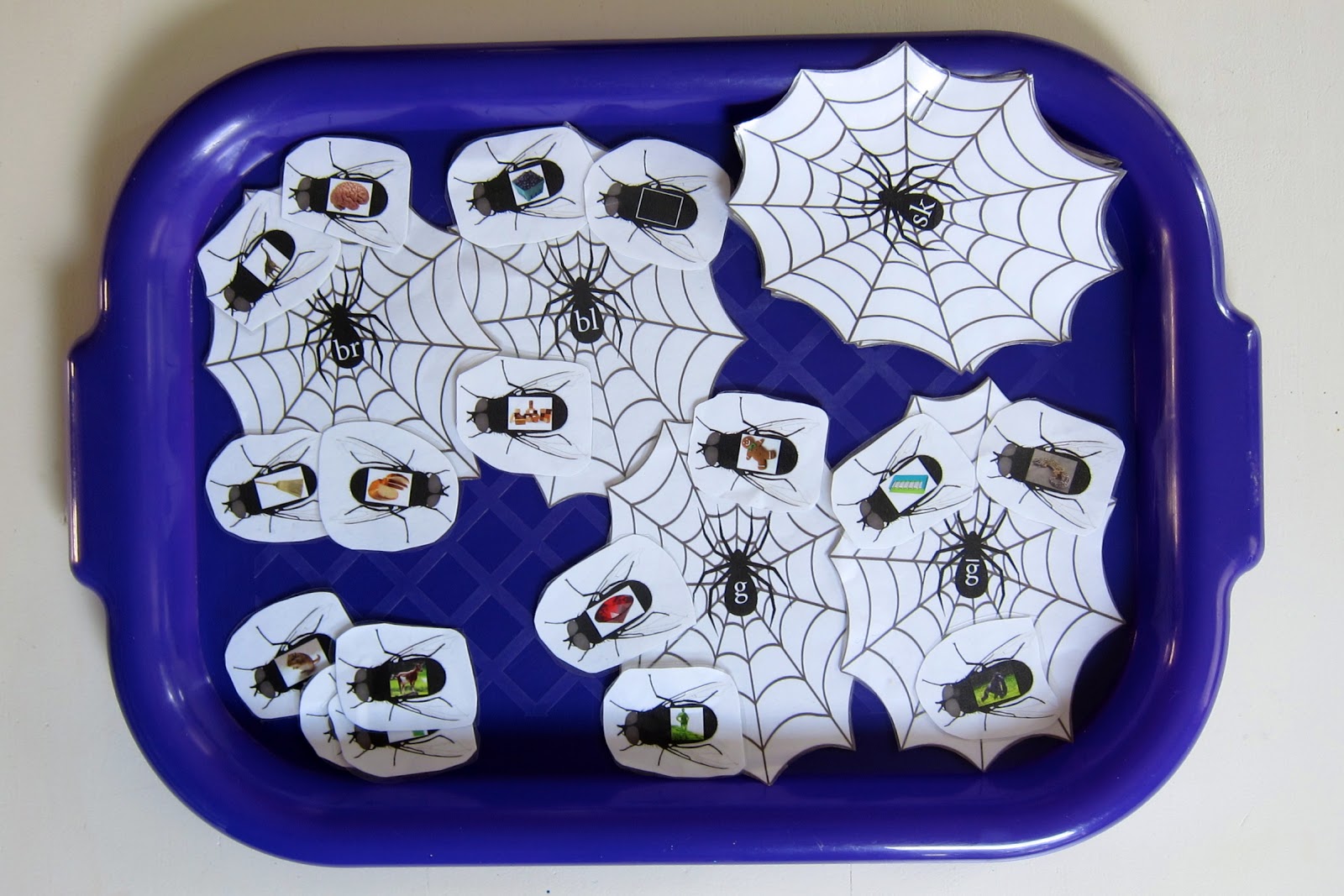 Around Our Schoolroom: Insects, Spiders, and Other Arthropods