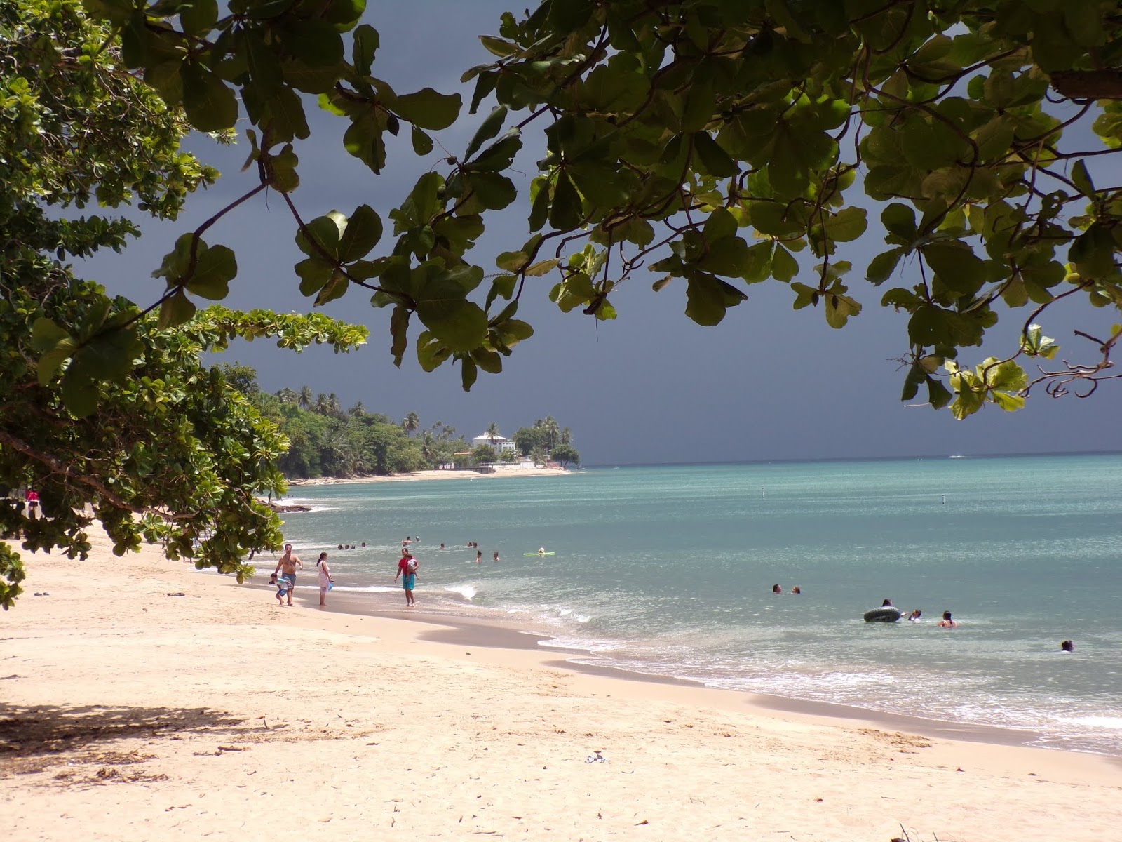 Exploring Rincon, Puerto Rico's Surf Town