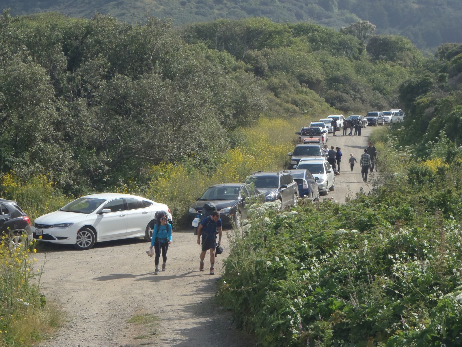 Lost Coast Trail and the King Range Wilderness