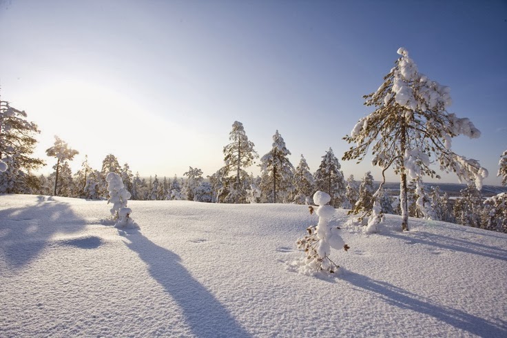 Otmena belina finske zime ~ F I N S K A