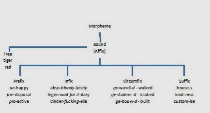 Teaching and Learning of Morphology