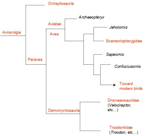 Paleoexhibit: Archaeopteryx is back on the Avialian tree...