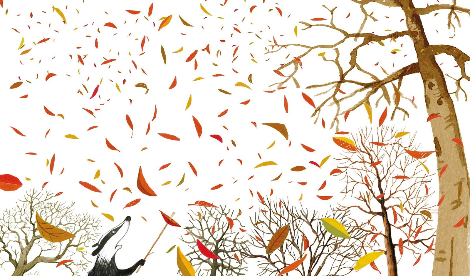 Let's Talk Picture Books: Let's Talk Illustrators #17: Emily Gravett