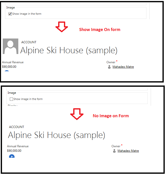 Ms Crm Customization Show Or Hide Entity Image And Navigation Items Form Entity Form