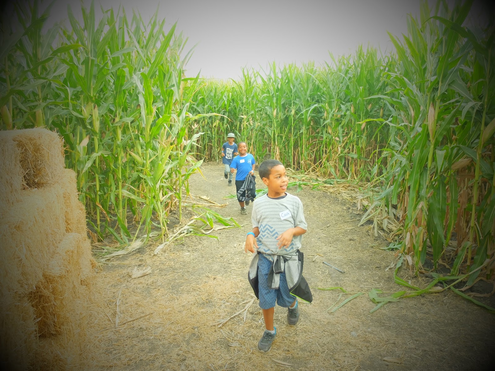 First Grade Adventurers: Danny's Farm Fieldtrip