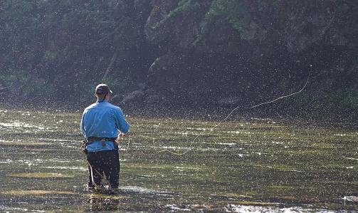Walla² Fly Fishers: Fishing Kelly Creek, ID with Tyson Kopfer