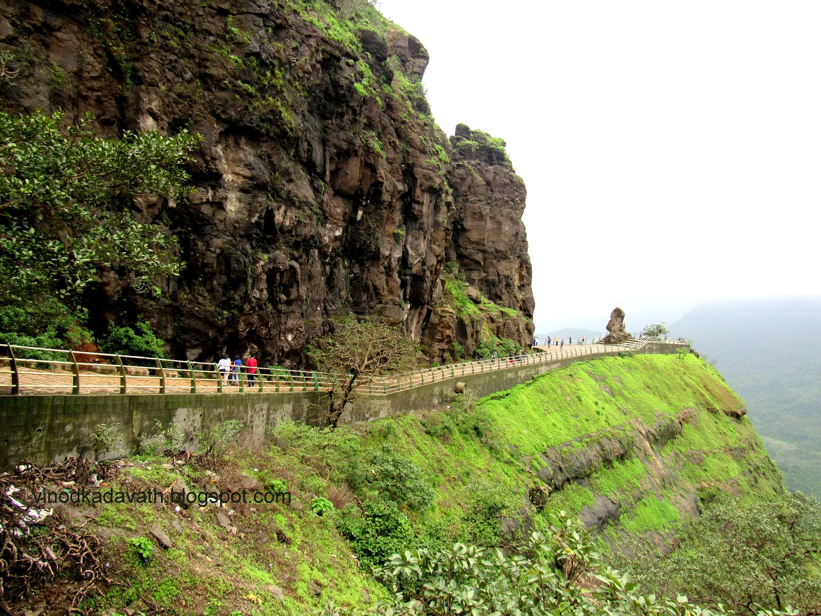 Malshej Ghat ~ Vinod K's Travel Blog