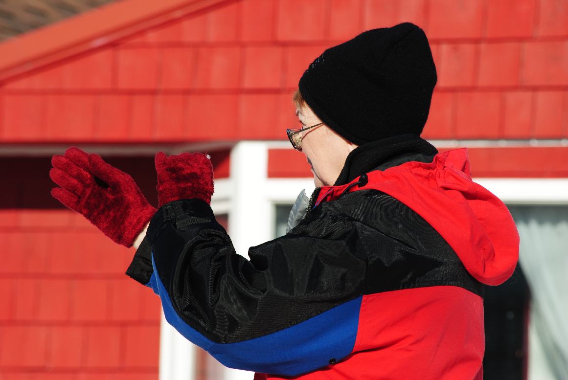 Jenny's Iditarod Adventure