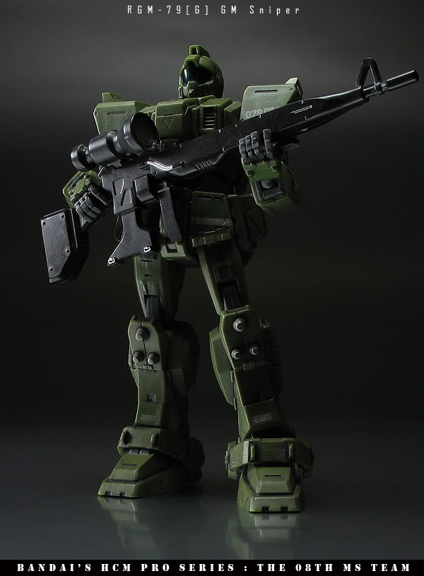 HCM Pro 08th MS team photographs and digiramas part 1