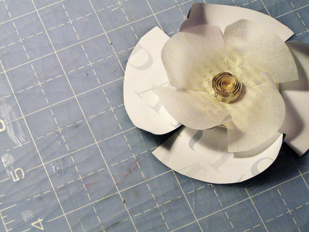 Carissa Taylor: Writing Diversity: Should a White author write a POC ...