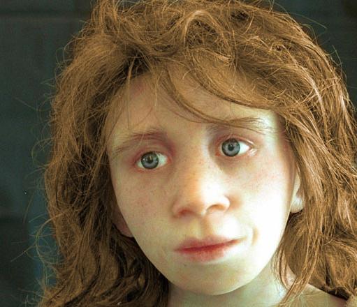 Rosa Rubicondior The Legacy Of Sex With Neanderthals