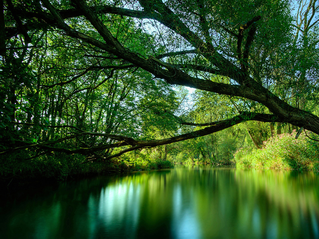 Amazing Nature Wallpaper 1024 X 768 Full HD Desktop Wallpaper amazing-nature-wallpaper-1024-x-768-full-hd-desktop-wallpaper