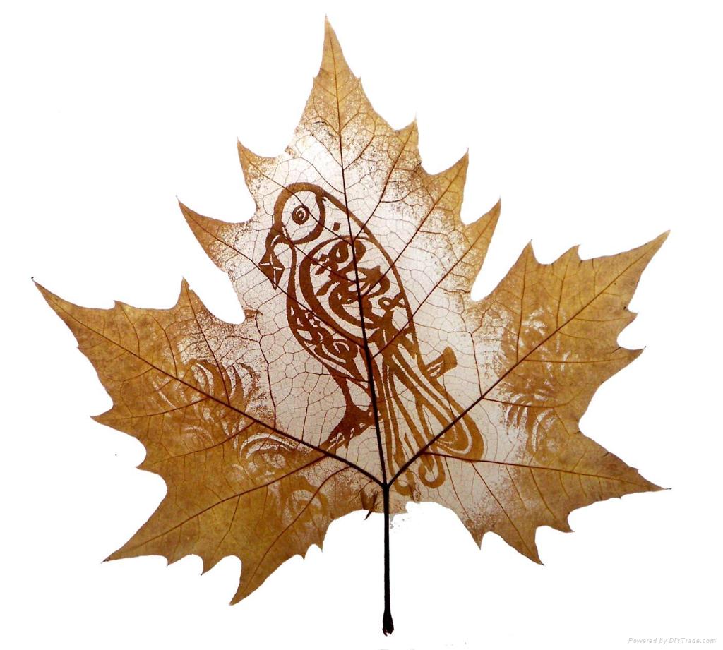 Mighty Lists: 10 amazing leaf carvings