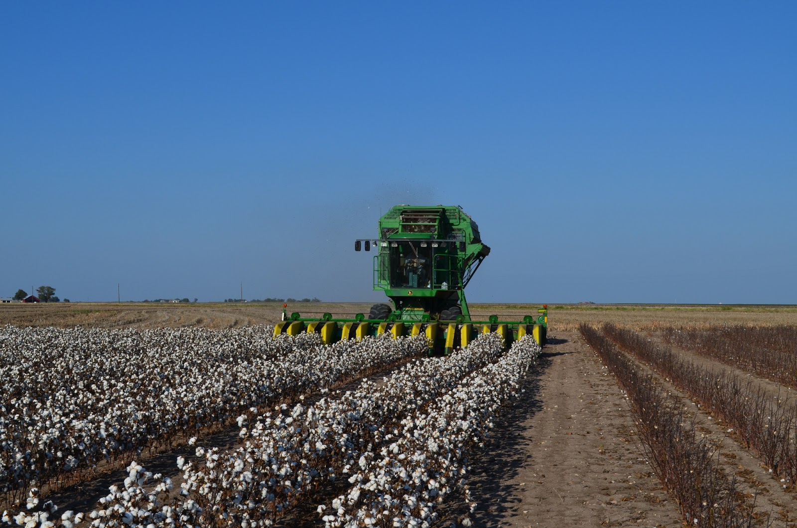 . Kissed A Farmer: Cotton Farming doesn't take a winter holiday