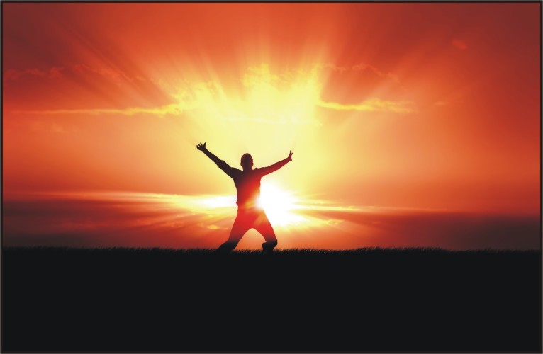 Arise Awake Stop Not Till the Goal is Reached---THERE WAS AN OLD MULE ...