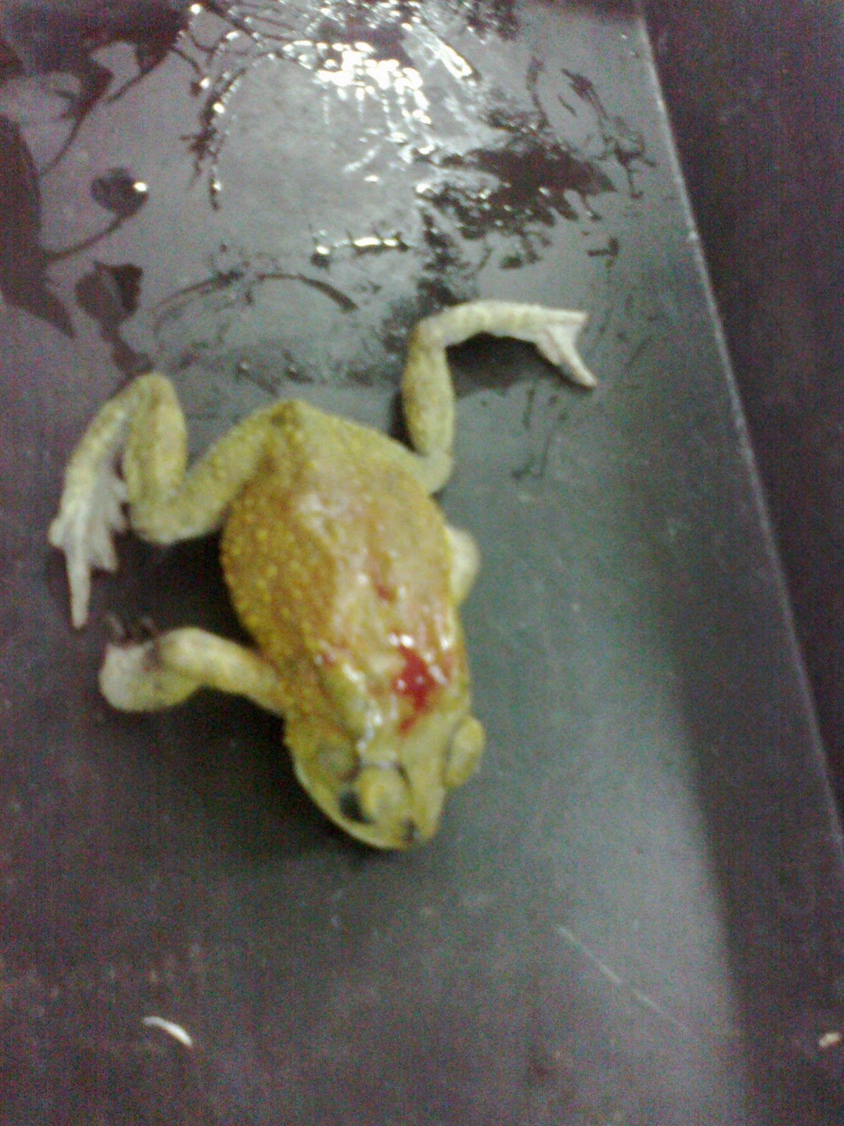 Smithereens of Mine: THE FANTASTIC 4