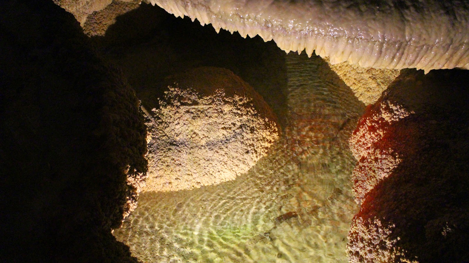 Finding Fossils...: The Permian Capitan Reef