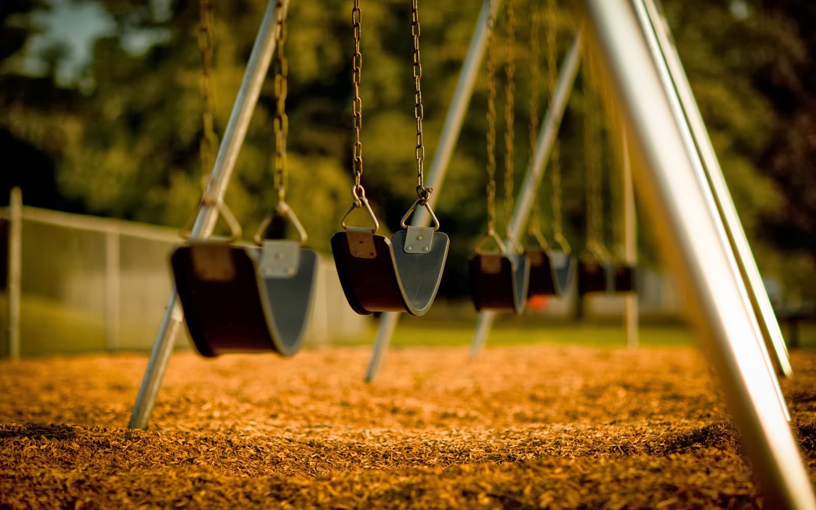 Picture perfect moments: La fábula del columpio