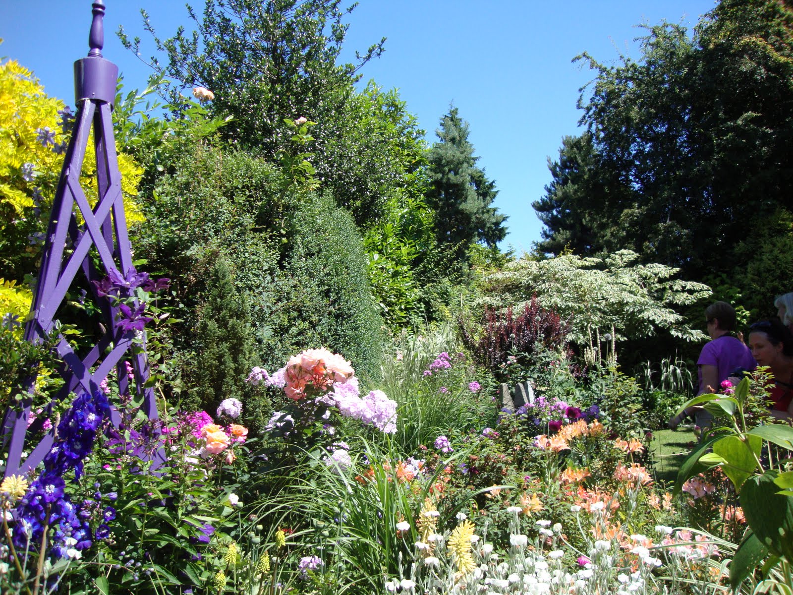 danger garden: The garden of Kate Farley